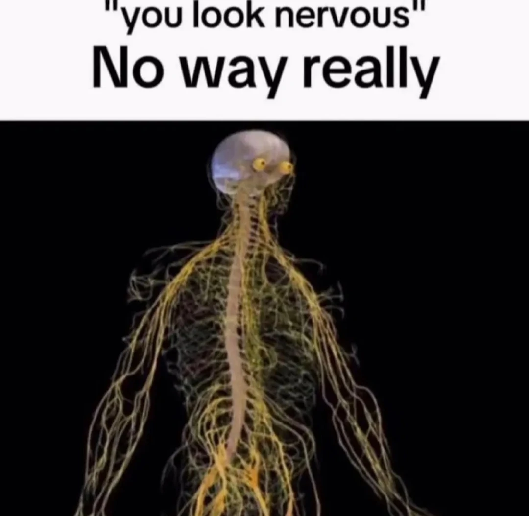 apostolos veil 1 in 800,000,000 | Fandom