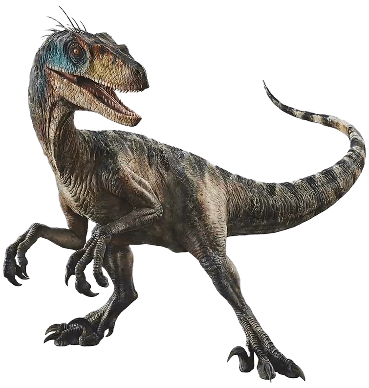 New pure genomes?? | Fandom