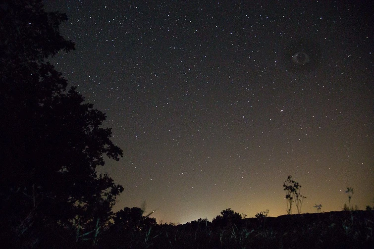 Discuss Everything About Glagglepedia Wiki | Fandom