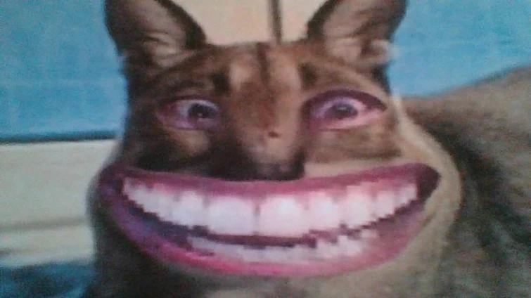 funny sussy | Fandom