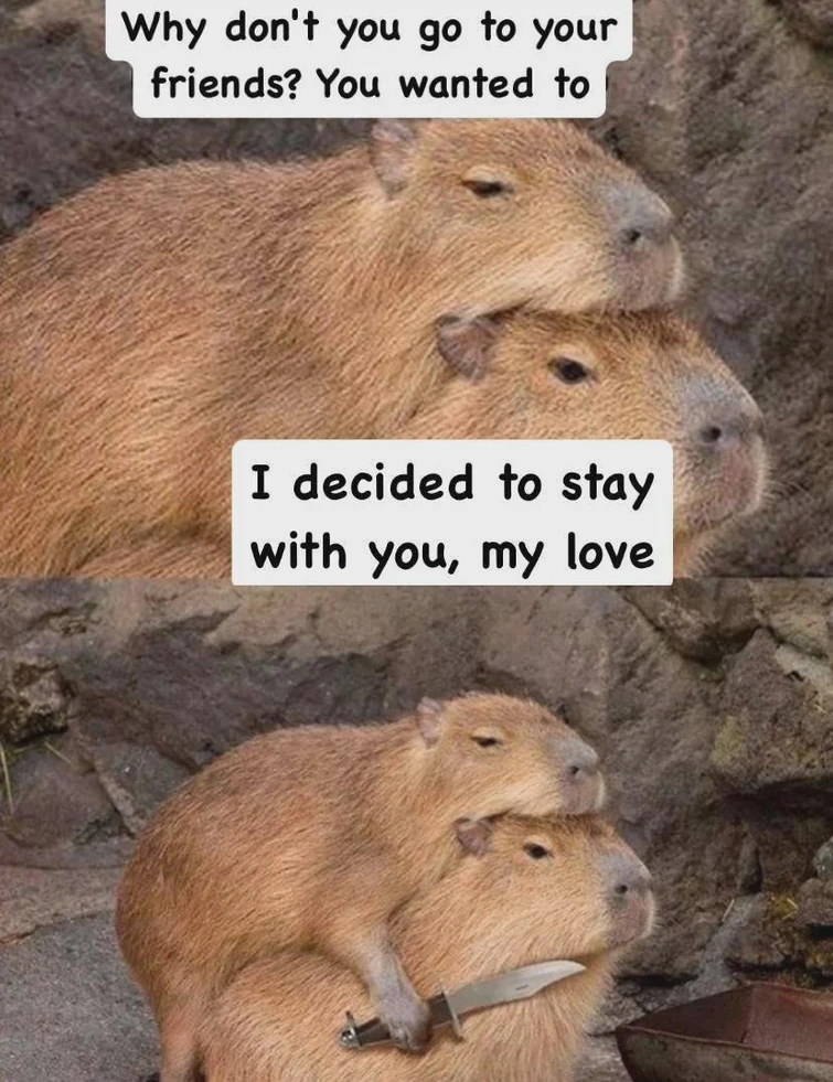 Discuss Everything About The Urban Rescue Ranch Wiki | Fandom