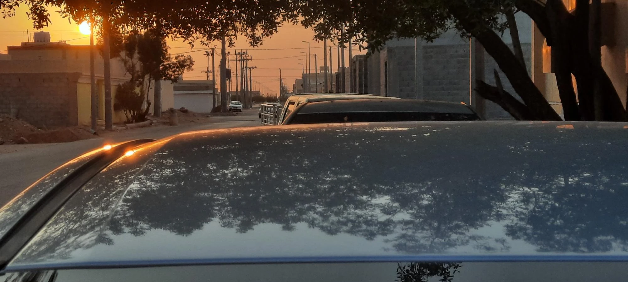 Goooooooood morning wolves | Fandom