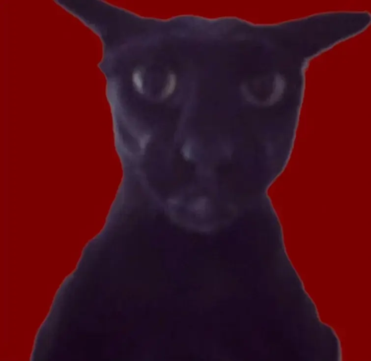 Discuss Everything About Apeirophobia Wiki | Fandom