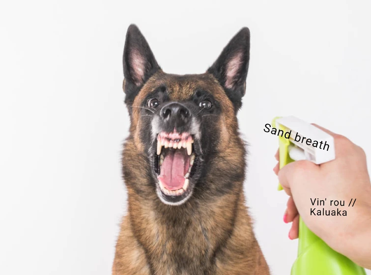 Vin' rou sand breath | Fandom