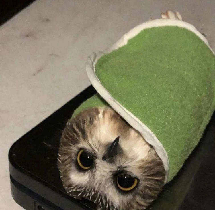 Listen to me! Now! | Fandom