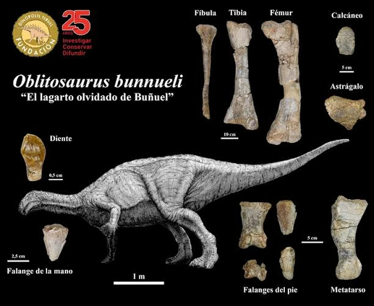 Two/Three new dinosaurs already | Fandom
