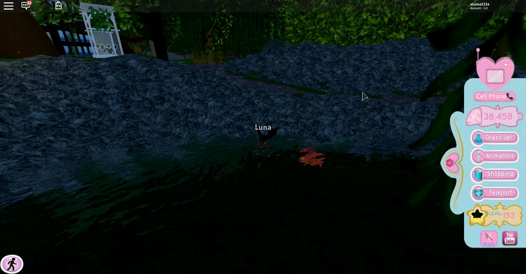 My Divina Park Chest Findings~ .w. | Fandom