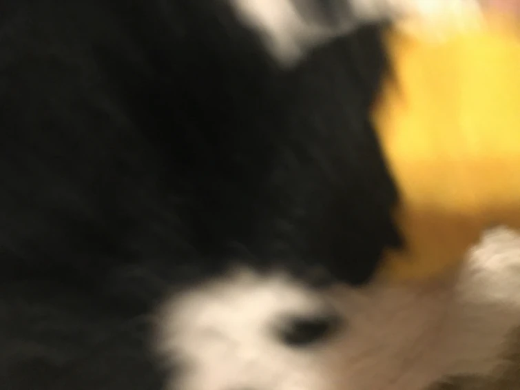 Try to Re-create this picture with your Firey jr/firey plush | Fandom