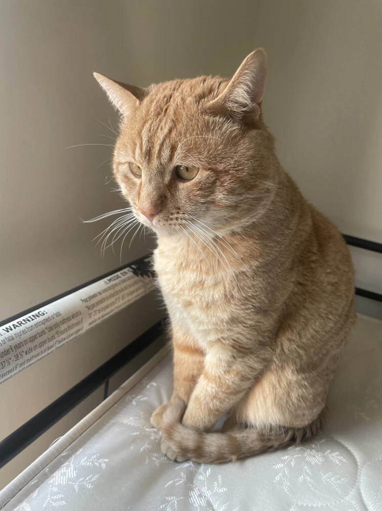 This is my friend. | Fandom