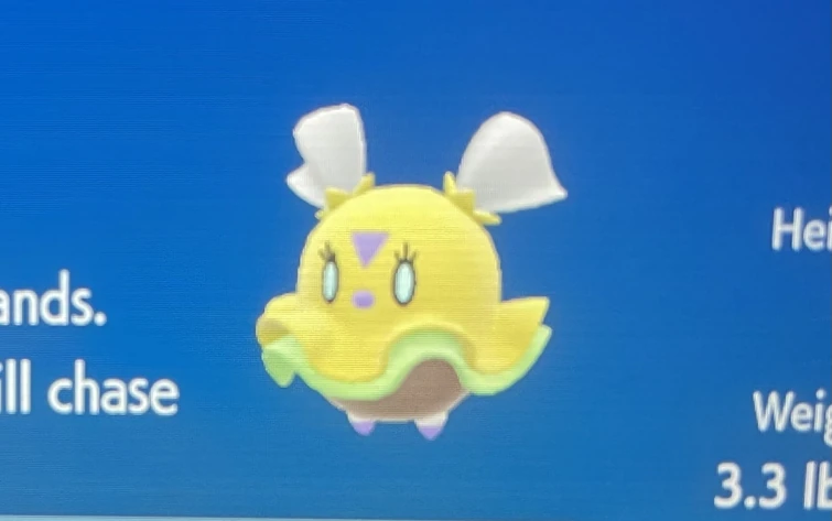 Caught a shiny Flittle last night! | Fandom