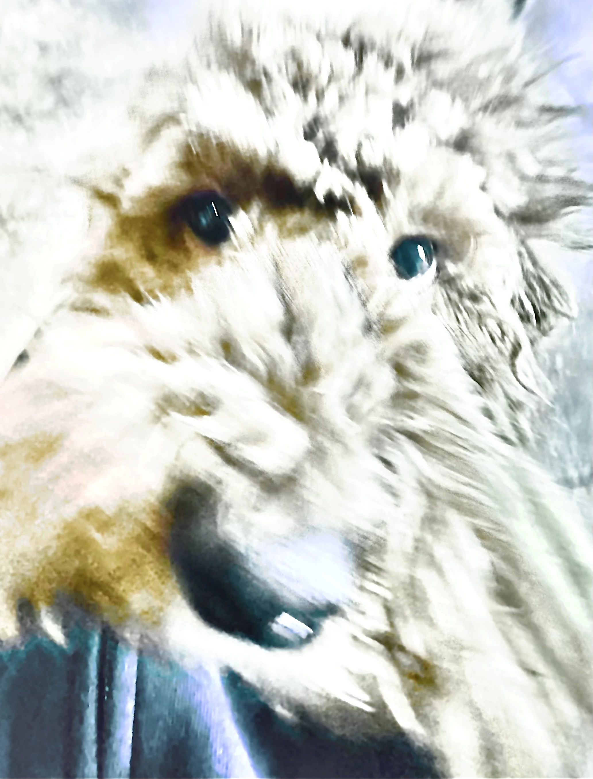 stupid poo brain | Fandom