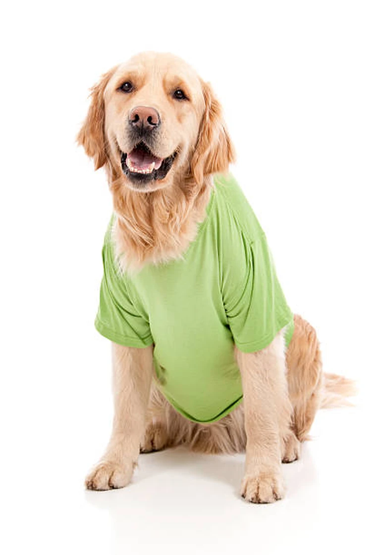 Art challenge timeeee | Fandom