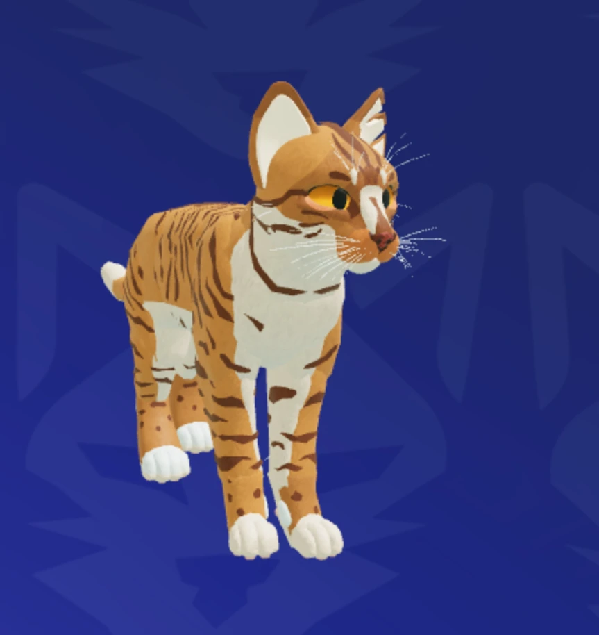 All the morphs I’ve made !! (I think this is allowed, take down if not ...