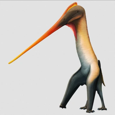 Discuss Everything About Dinopedia | Fandom