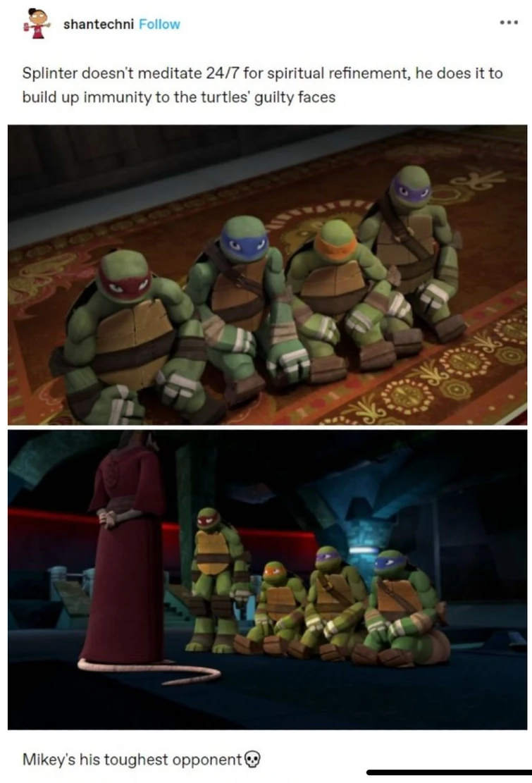 TMNT Meme Of The Day | Fandom