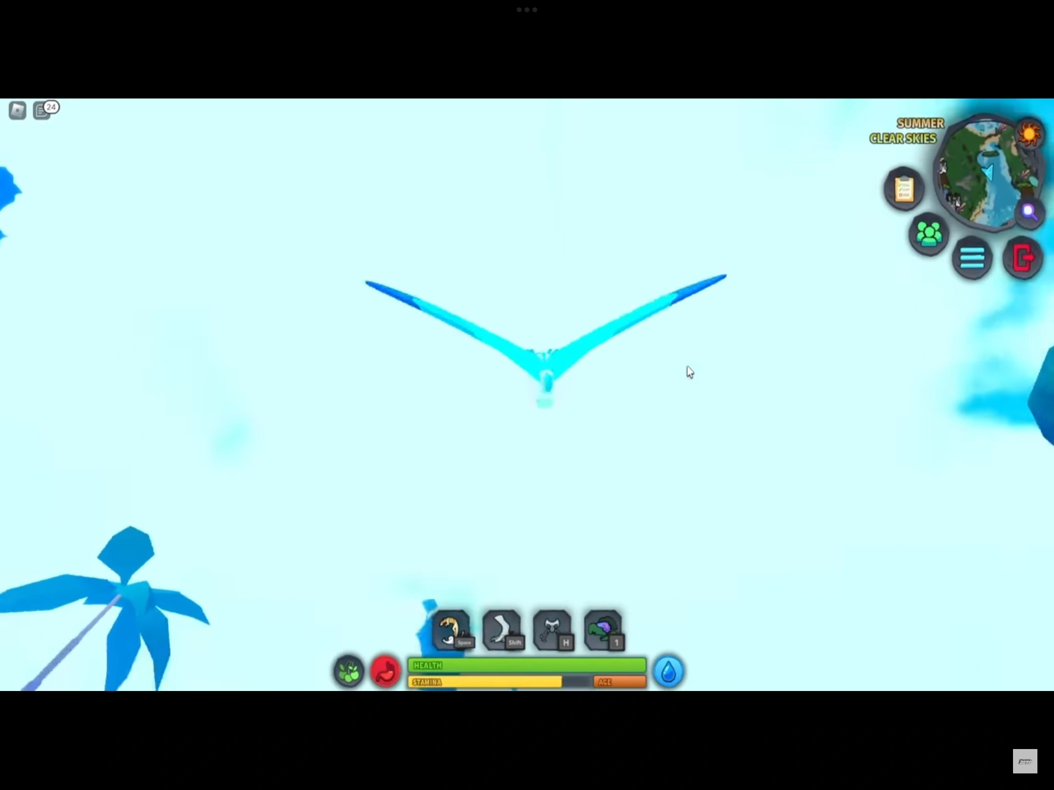 FLYING PANCAKE!!! | Fandom