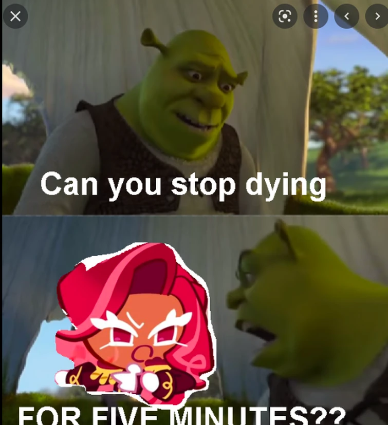Gib me memes | Fandom
