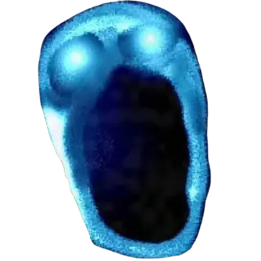 Which is the fanmade entitys of rush clone | Fandom