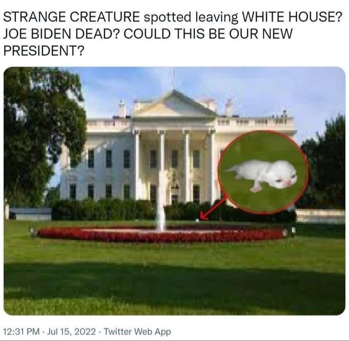 good morning | Fandom