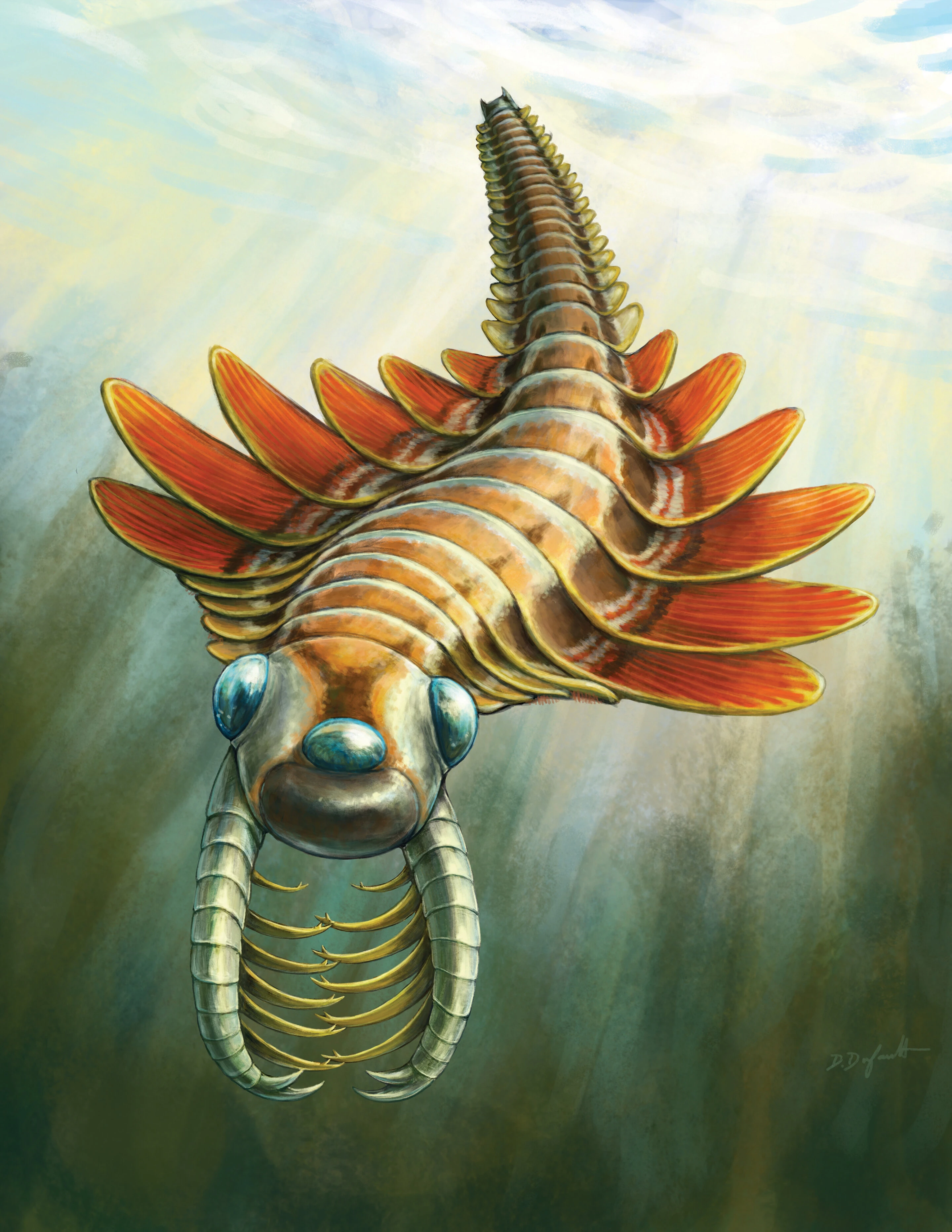 New Radiodont Named After a Kaiju | Fandom