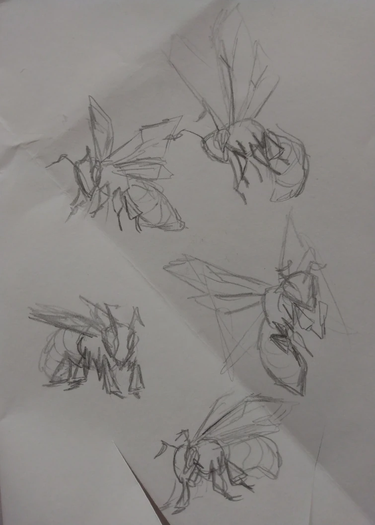 bee doodles i did in afterschool + picture of a cicada | Fandom