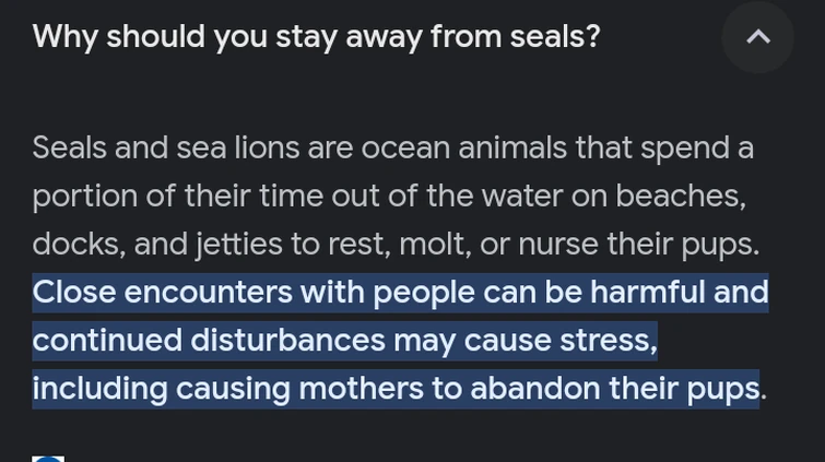 Since y'all love the seals .. | Fandom