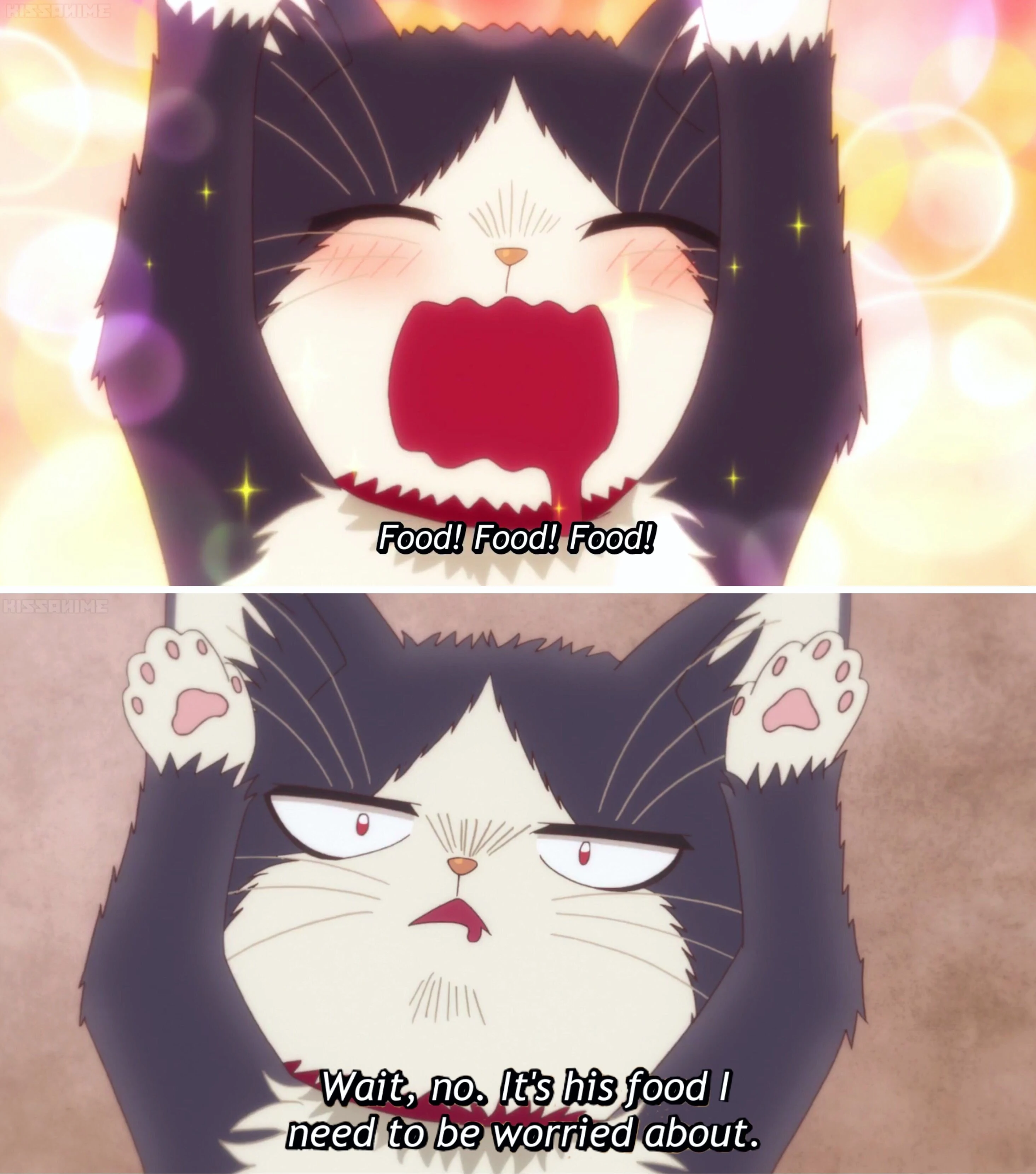 there is SO MUCH UNTAPPED REACTION IMAGE AND MEME POTENTIAL IN THE ...