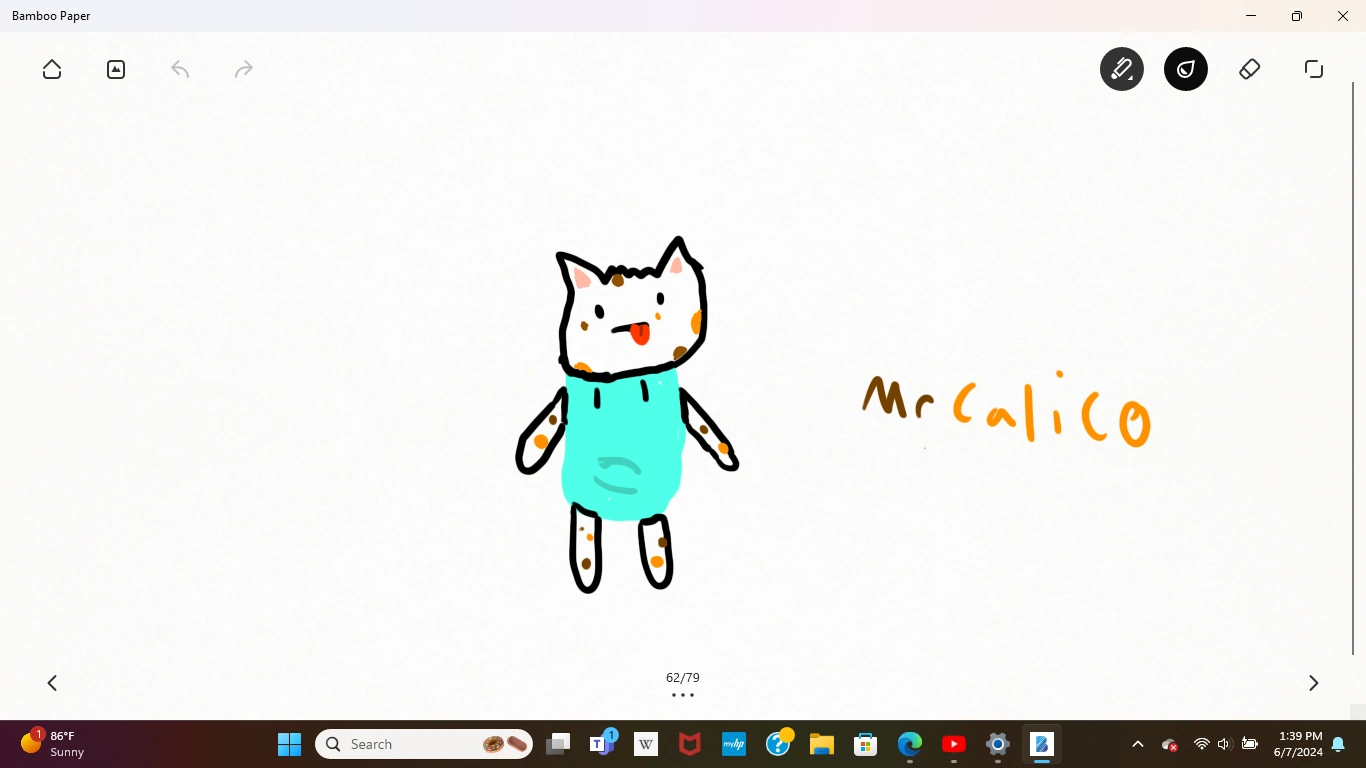 This is Mr. calico | Fandom
