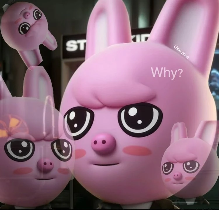 daily skzoo (day 13) | Fandom