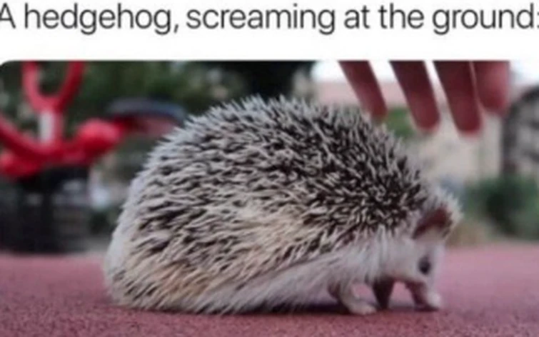 Finally... it's done. (+ MOSTLY FORGOTTEN CHRACTER) | Fandom