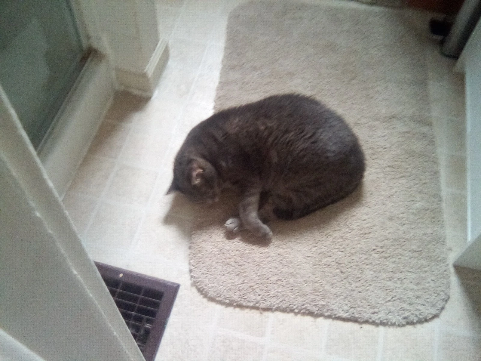 uh random image from my files | Fandom