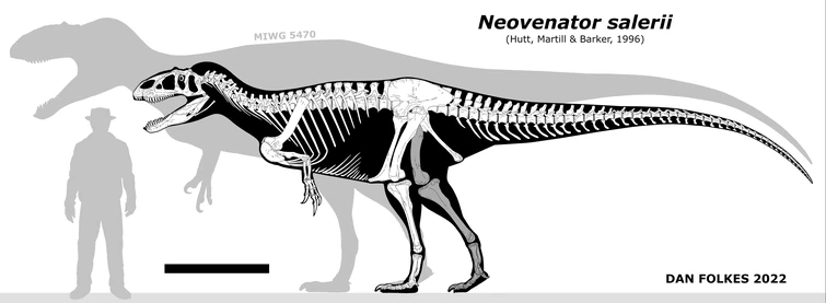 New Neovenator salerii | Fandom