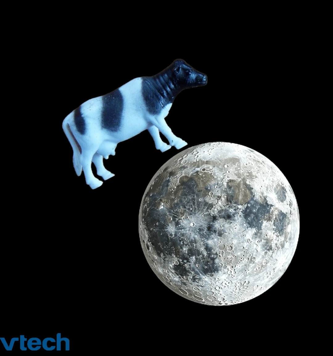 Cow Over Moon Binary Port | Fandom