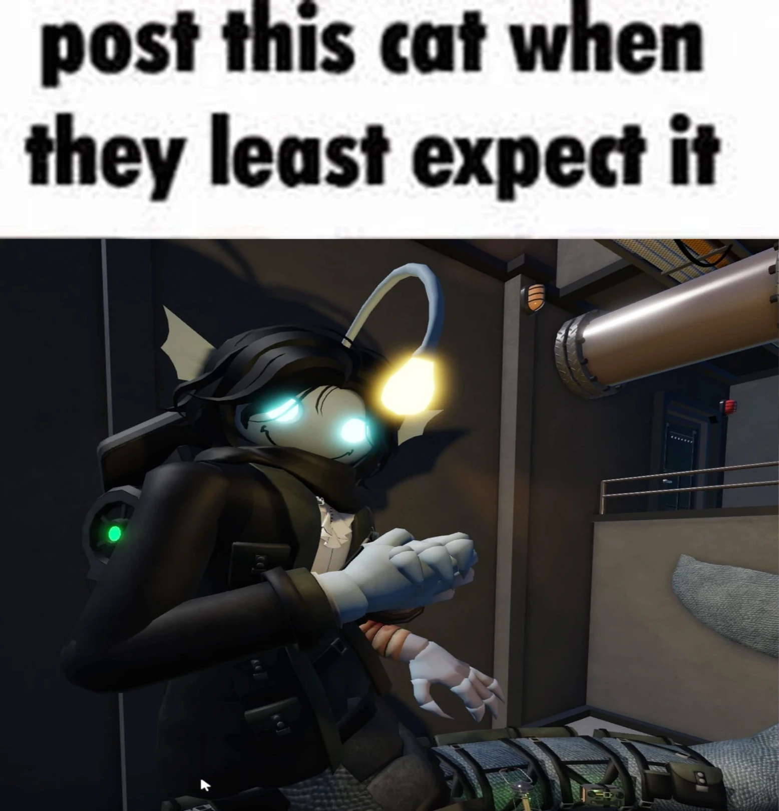 post this cat when they least expect it | Fandom