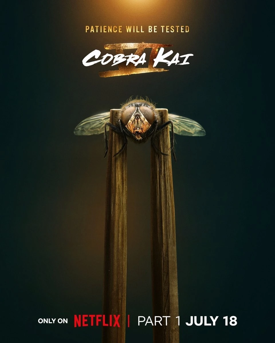 Cobra Kai Season 6 Part 1 second poster revealed | Fandom
