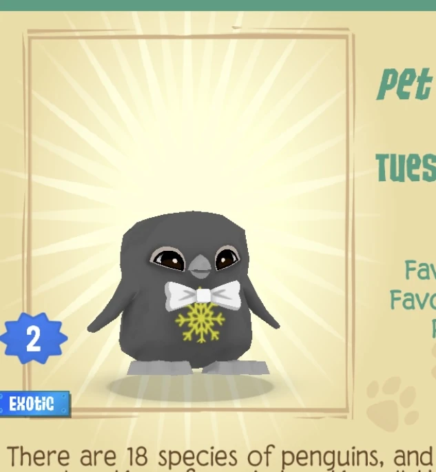 Name ideas for this penguini? | Fandom