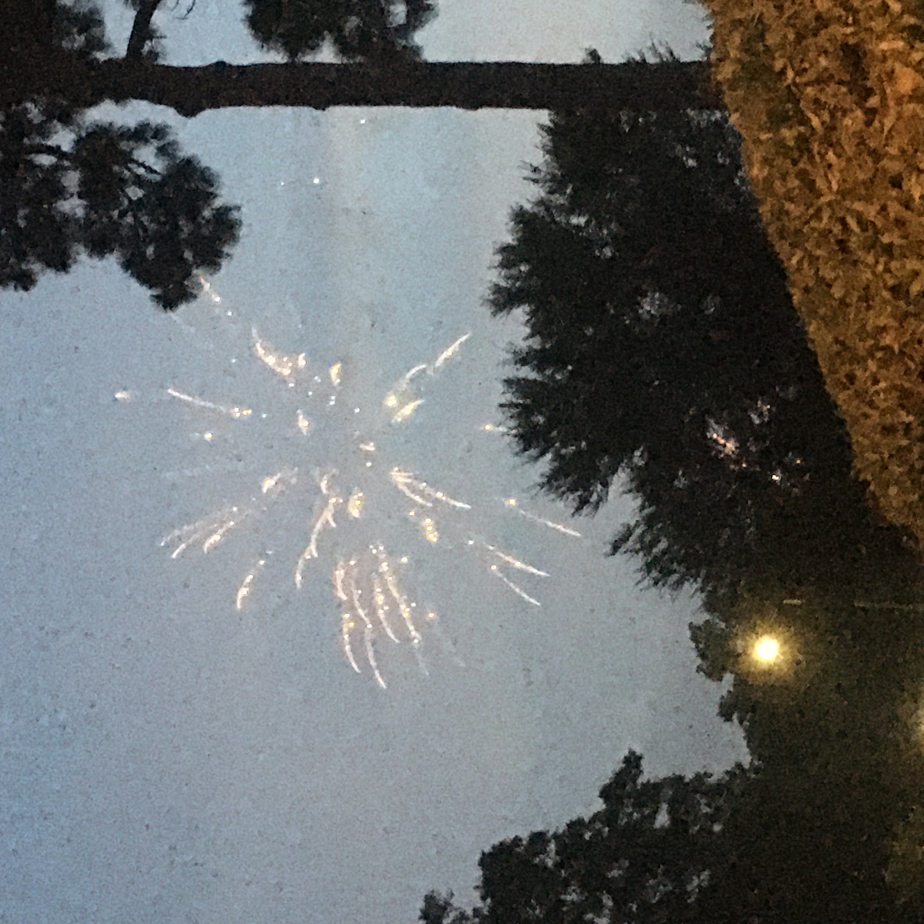 Fireworks cuz yes | Fandom