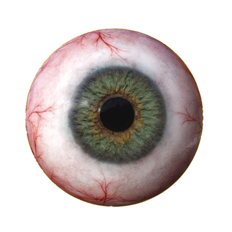 i think i found the prunsel/a-278 eye origin umg | Fandom