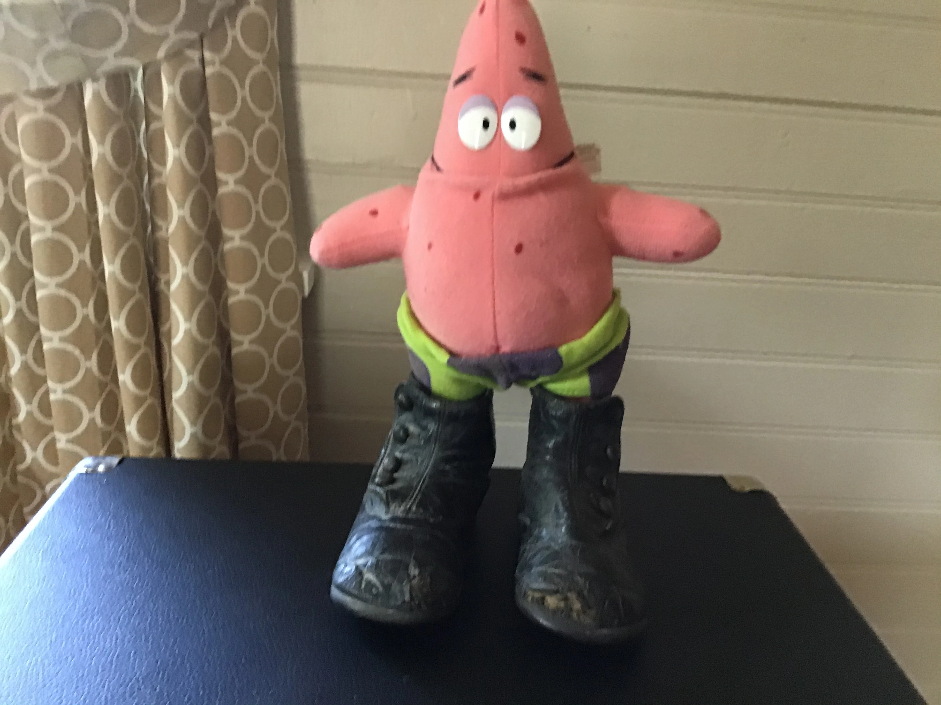 Message From Patrick Star | Fandom