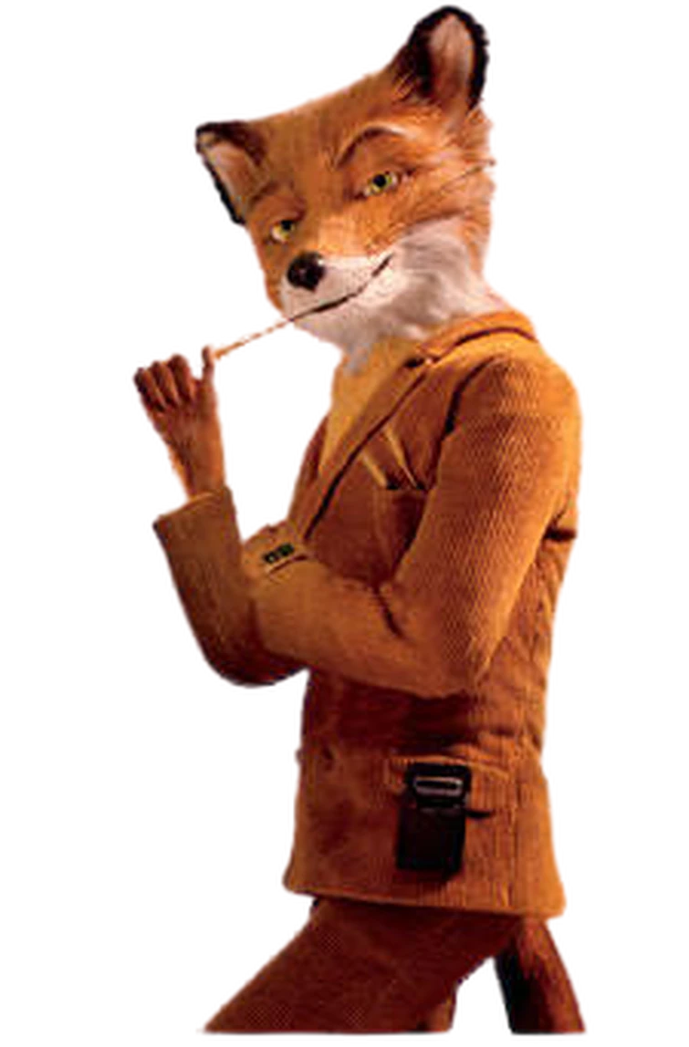 So many foxes! | Fandom