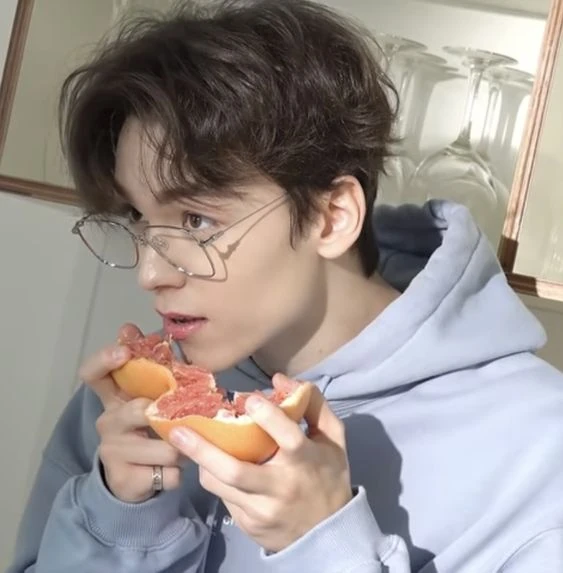 SSG Day 6: Vernon | Fandom