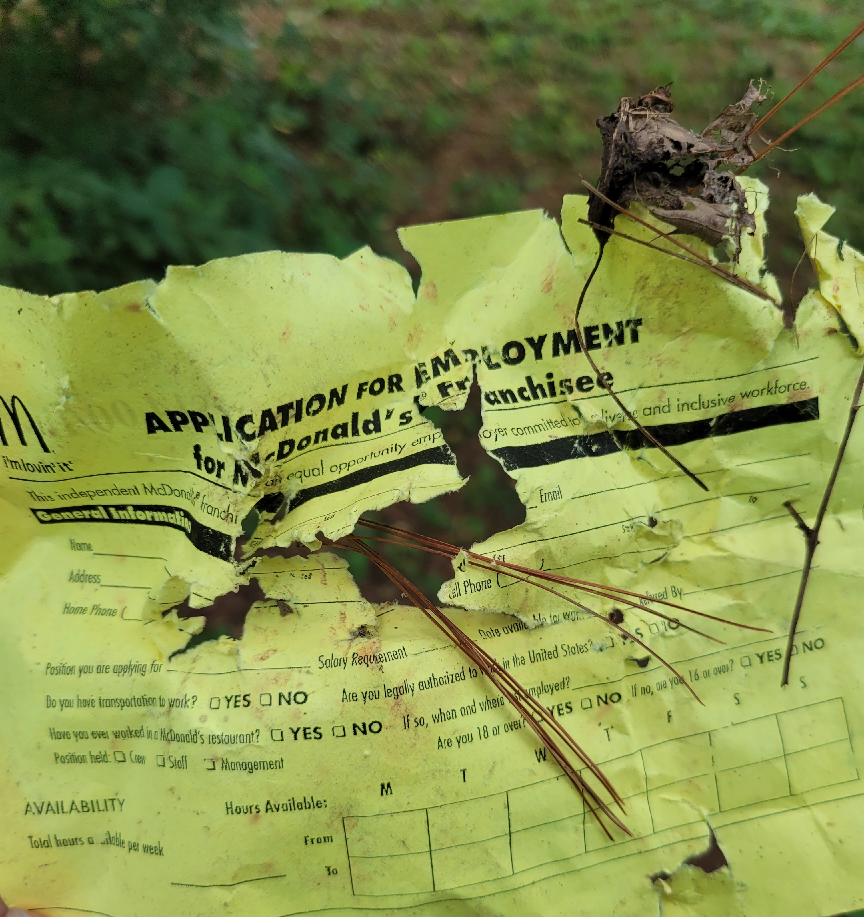 HELP I JS FOUND THIS | Fandom