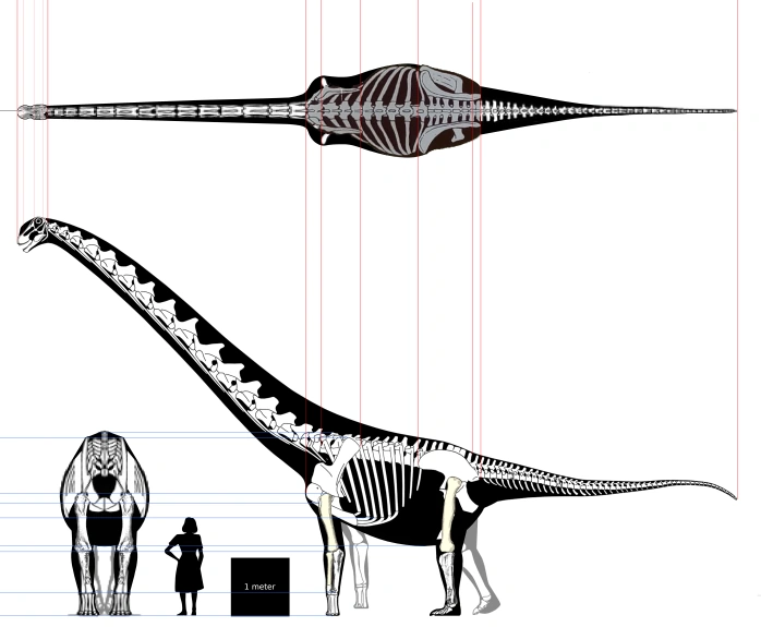 Aegyptosaurus | Fandom