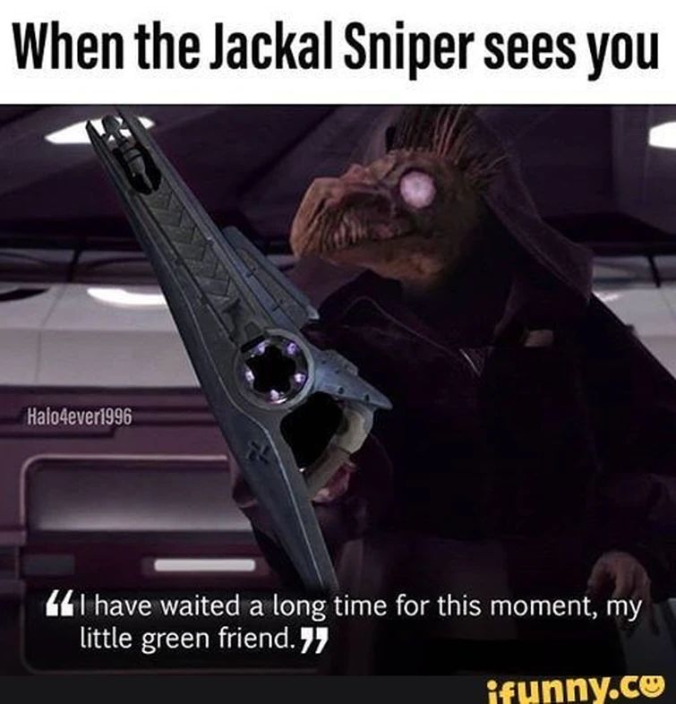 jackal Thursday post your favorite jackal memes here | Fandom