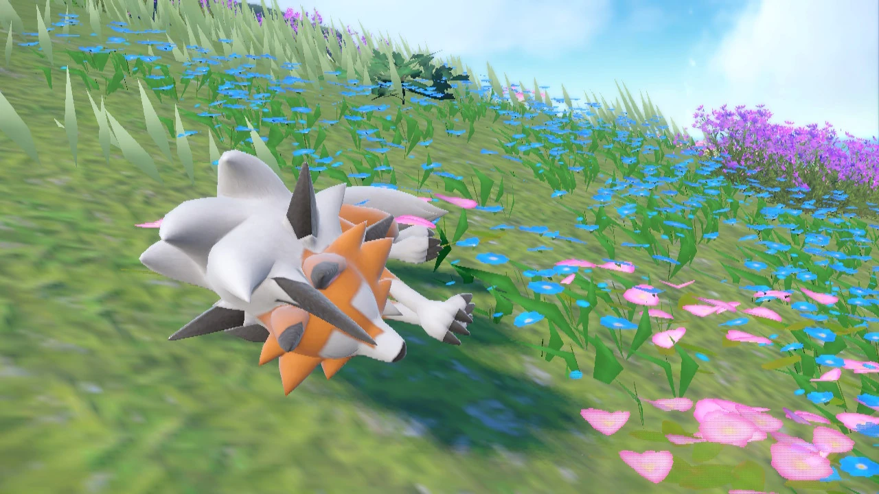 miscellaneous pokemon screenshots because somebody probably wants it ...