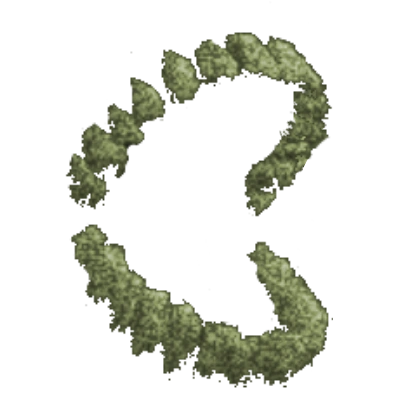 entity template | Fandom