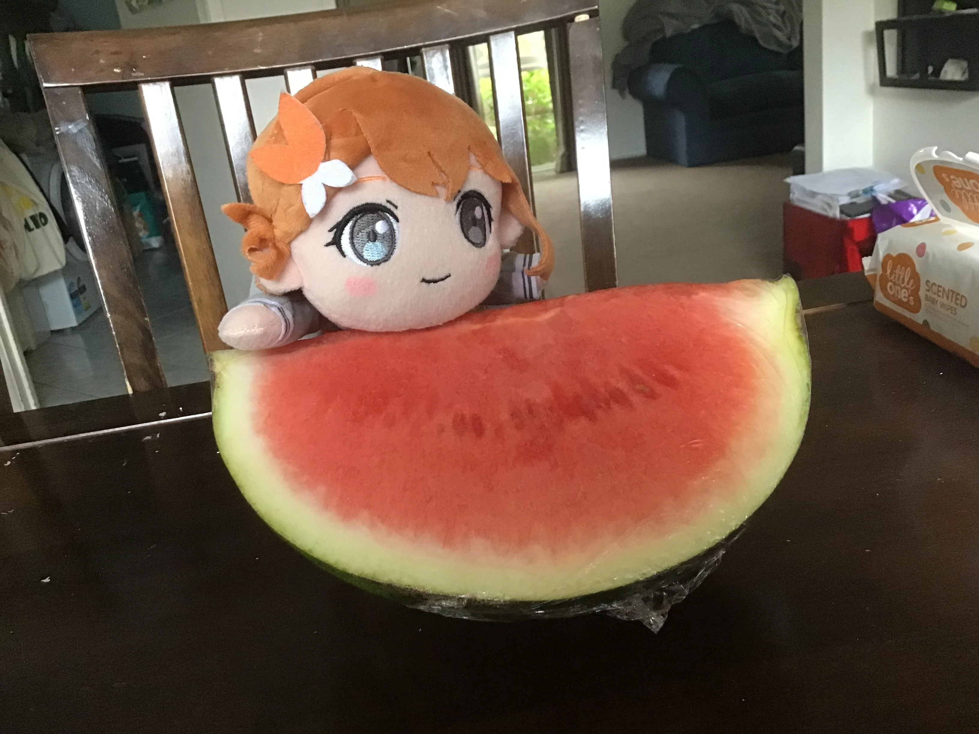 Minori has a watermelon today! | Fandom