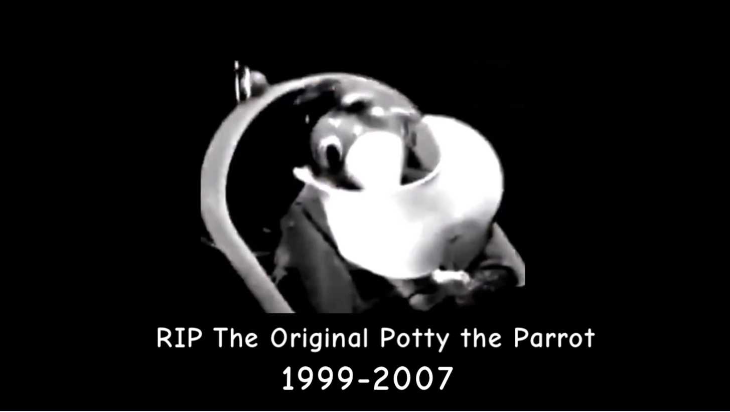 the original potty the parrot was ruined underwater. thoughts? | Fandom