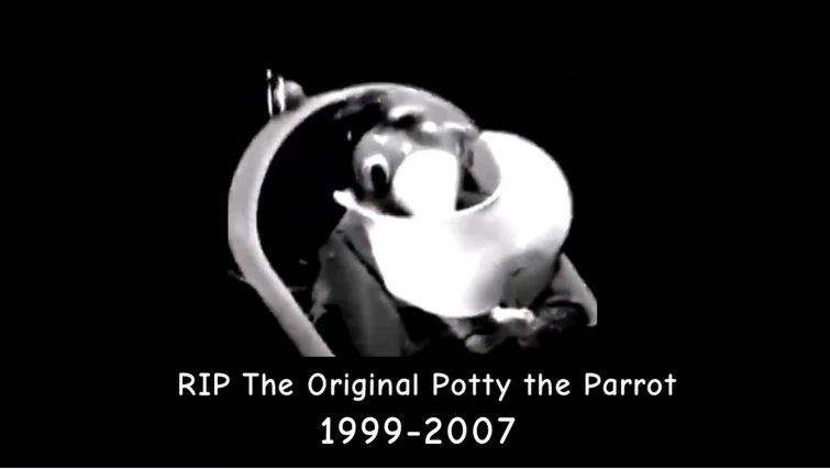 the original potty the parrot was ruined underwater. thoughts? | Fandom