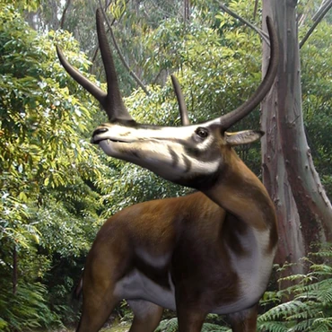 Dinopedia makes a Cenozoic Zoo game: Protoceratidae (top 2 get added ...